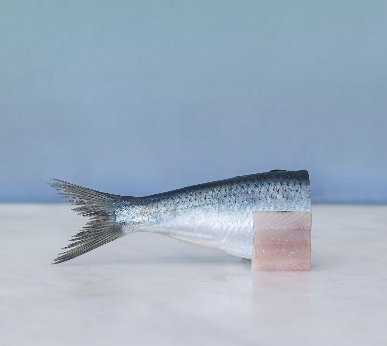 Arenque | Mar de Noruega | Seafood from Norway